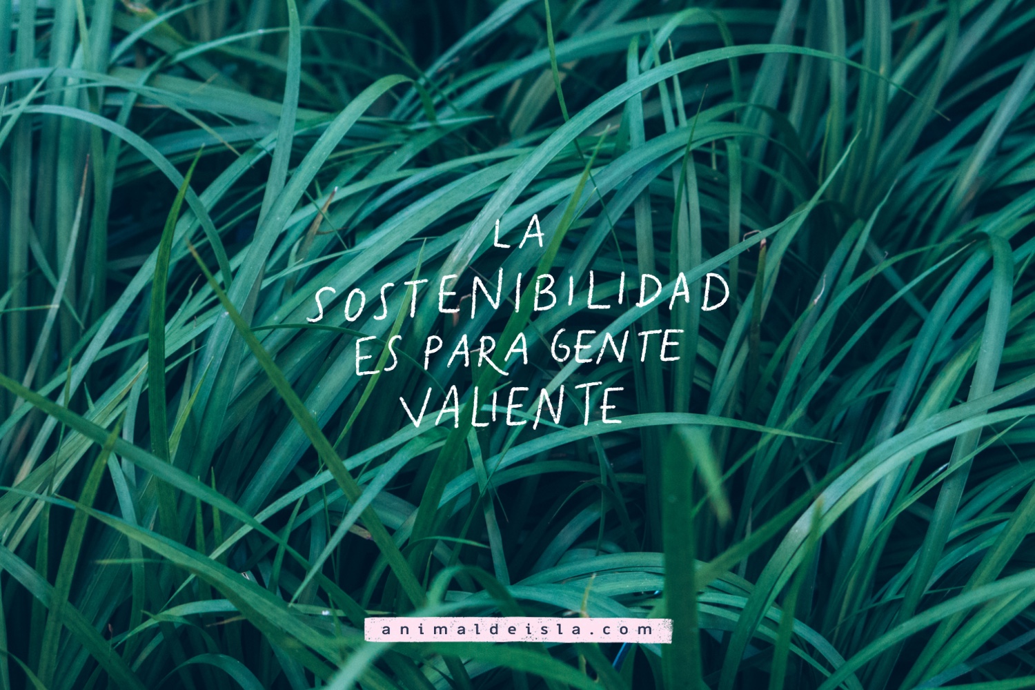 La sostenibilidad es para gente valiente - Animal de isla