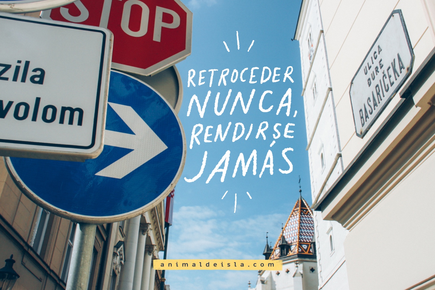 Retroceder nunca, rendirse jamás | Animal de isla